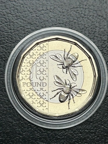 2023 BEES £1 One Pound Coin ROYAL MINT, Brilliant Uncirculated, Kings ...