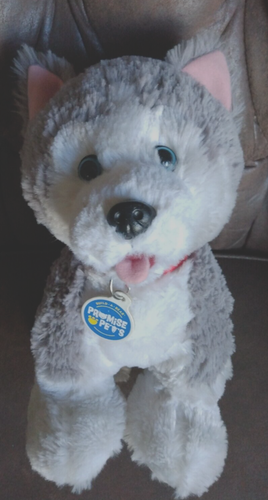 Build-A-Bear Promise Pets Plush Husky Dog Puppy Gray White Blue Red ...