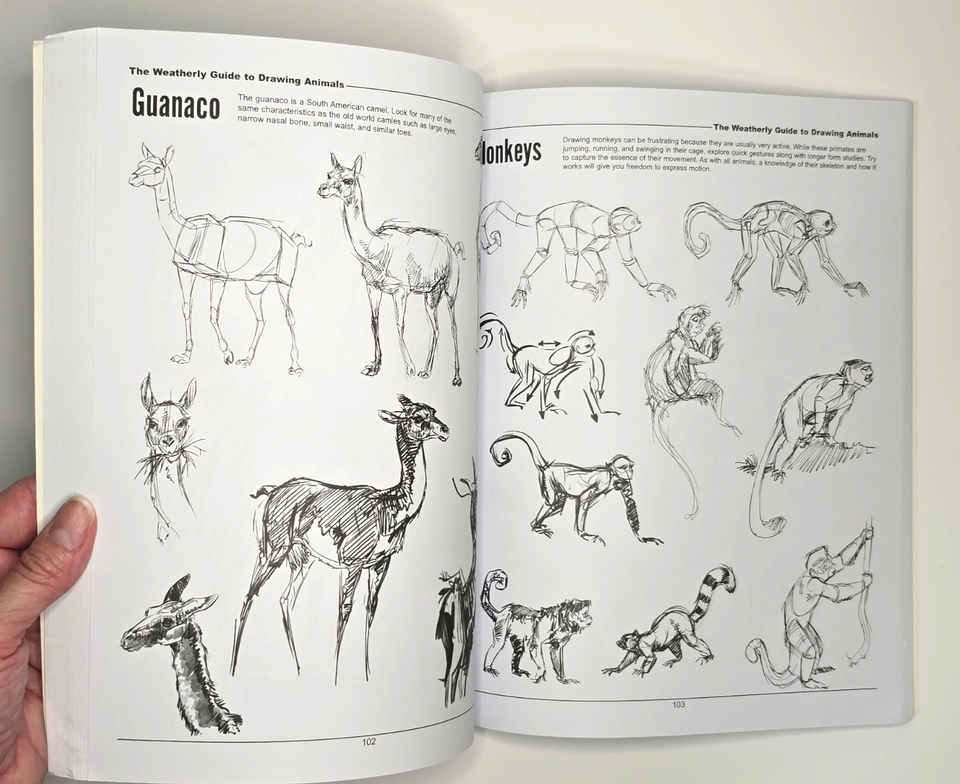 The Weatherly Guide to Drawing Animals, Joe Weatherly Instructional ...
