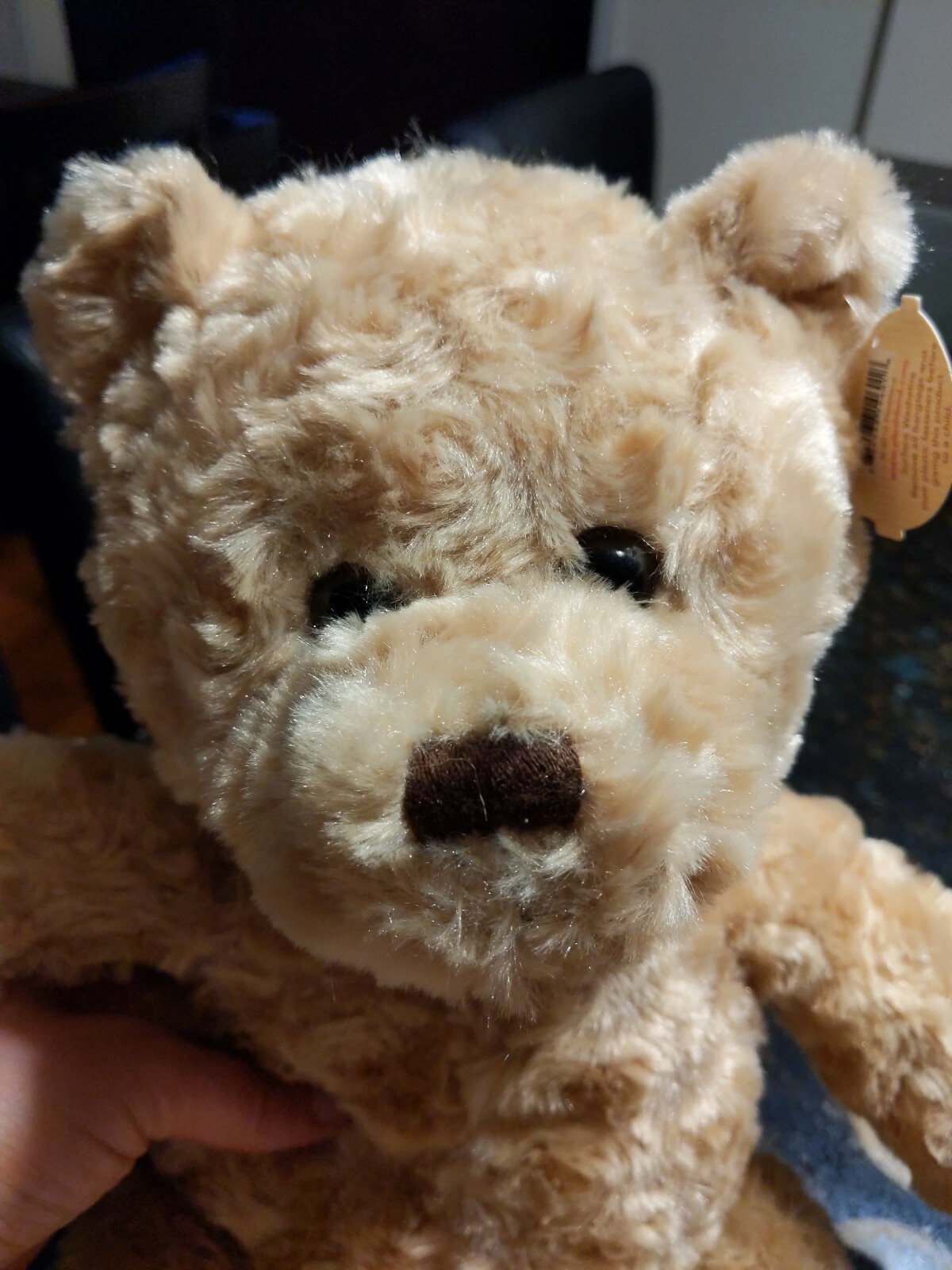 Plushland Plush Stuffed Animal Bear 16" Tan | eBay