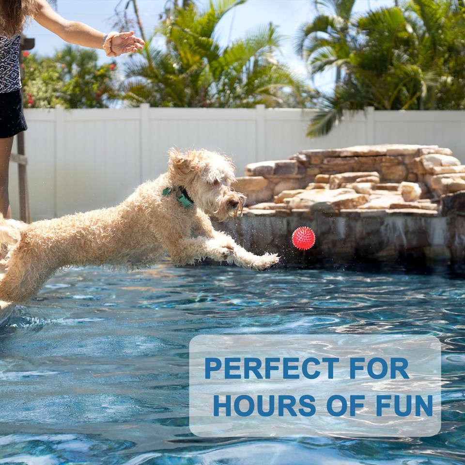 12 Pack 2.5 Inch Squeaky Dog Toy Balls Spikey Dog Balls Large Dogs Chew Toys | eBay