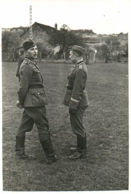 Photo, WW2. Wehrmacht: Portrait of "Grinder" during formal service (MB ...