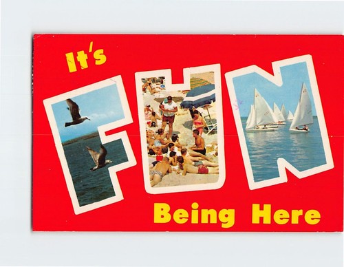 Postcard It's Fun Being Here - Multiple View | eBay