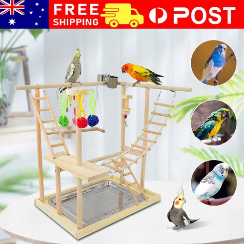 Wood Bird Play Stand Parrot Playstand Cockatiel Playground Perch Gym AU ...