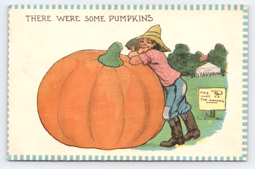Circus Scene Farmer Smoking Pipe Giant Pumpkin c1913 Postcard, DPO ...