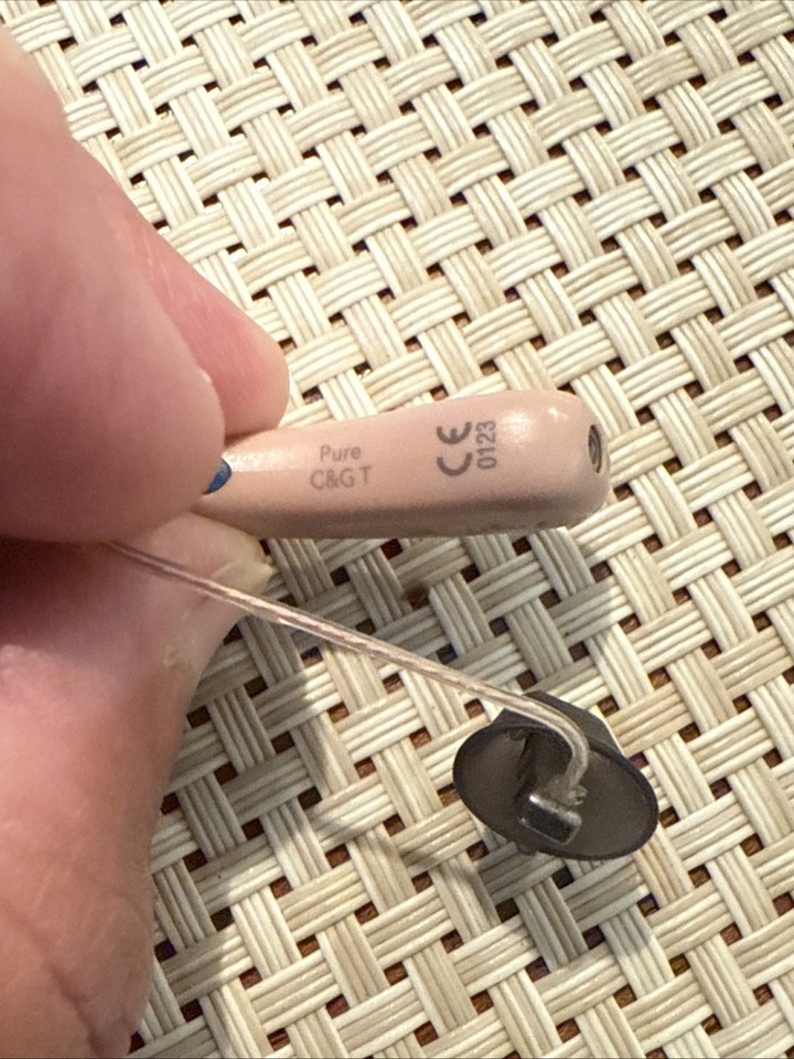 Signia Pure C&G T Hearing Aid & Portable Charger RIC - Charge & Go ...