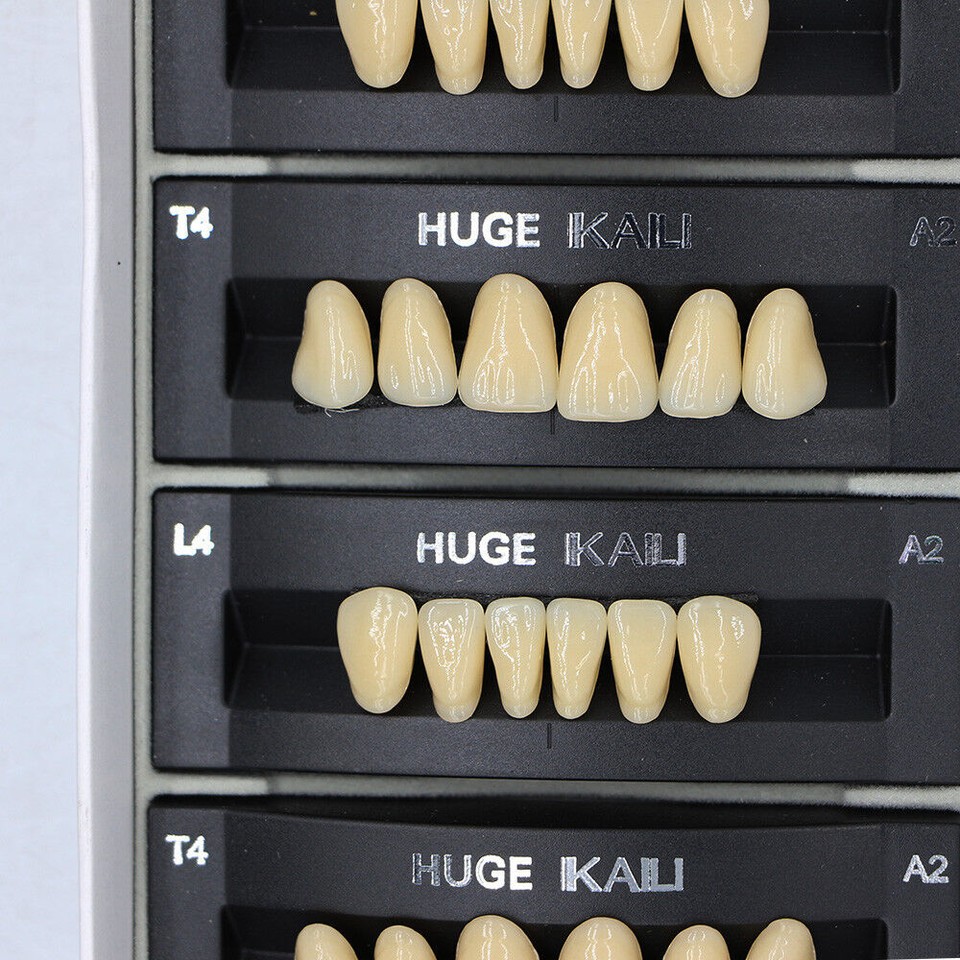 112Pcs/Pack HUGE KAILI Dental Synthetic Polymer Resin Teeth T2/T4/T6/T8 ...