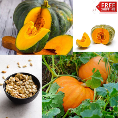 50+ Pumpkin Seeds Organic Heirloom NON-GMO Fresh Garden Ceylon Seeds | eBay