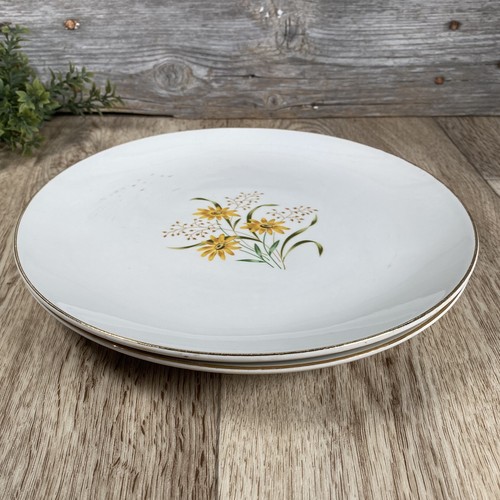 2 Dinner Plates 10” 1950’s Royal China Inc. “Suzan” 22K Gold Made in ...