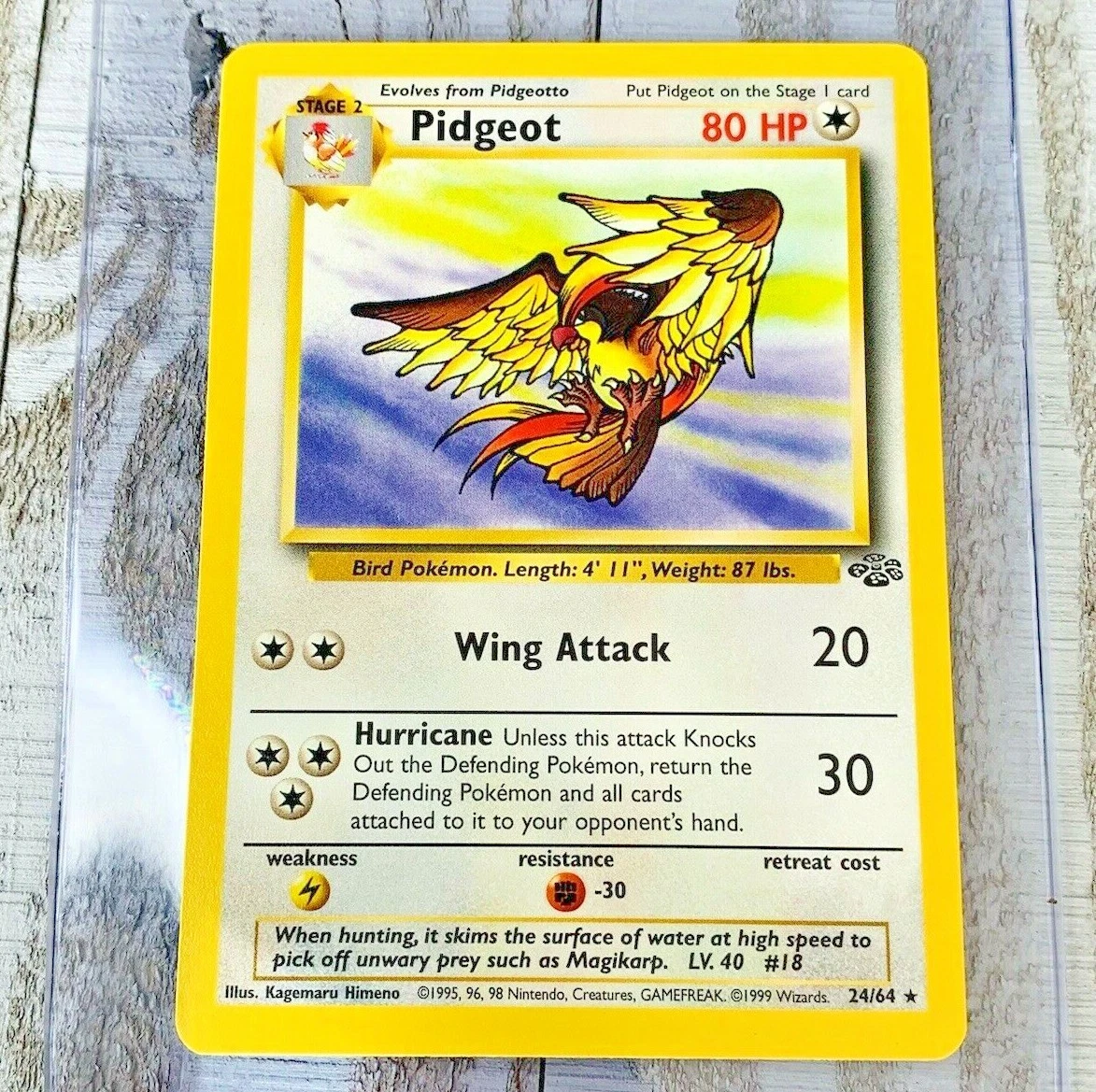 Pidgeot Card Holo