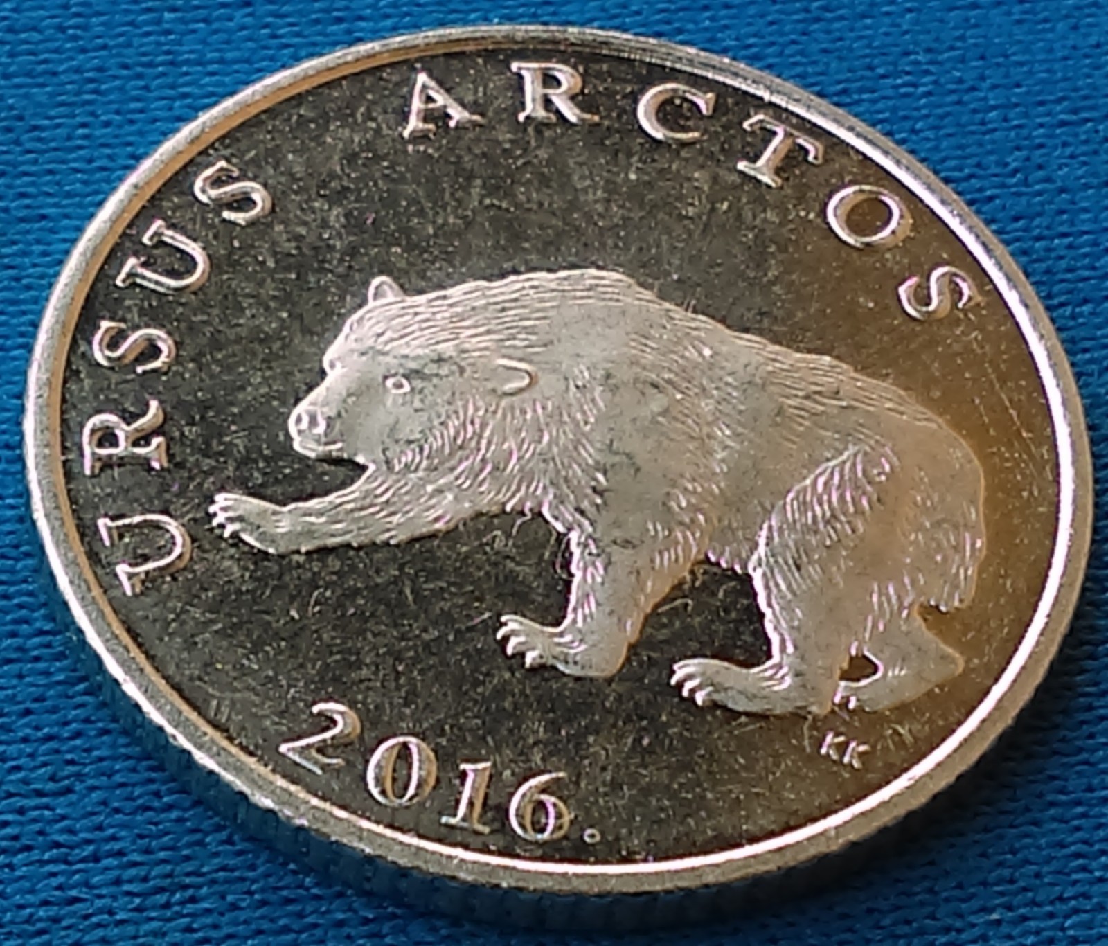 5 Kuna 2016. Croatian coin, Latin text - URSUS ARCTOS ! | eBay