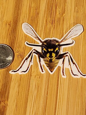 🪳WASP Sticker Insect Sticker Bug Sticker Bugs Insects Creepy Nature ...