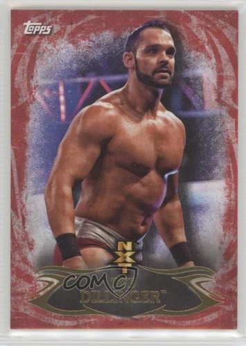 2015 Topps WWE Undisputed NXT Prospects Red Tye Dillinger #NXT18 Rookie ...