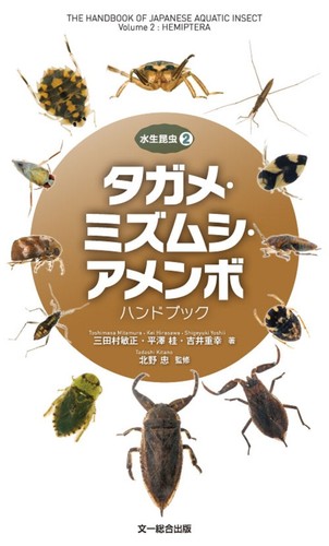 Giant water bug Boat bug Water strider Handbook Japanese Insect Guide ...
