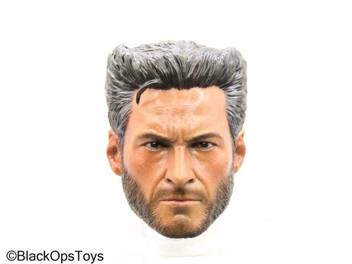 1/6 Scale Toy Custom Painted Wolverine Head Sculpt | eBay