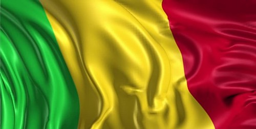 Mali Flag Photo License Plate | eBay