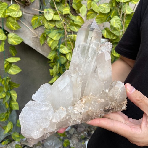 1680g Natural White Clear Quartz Crystal Cluster Raw Healing Specimen | eBay