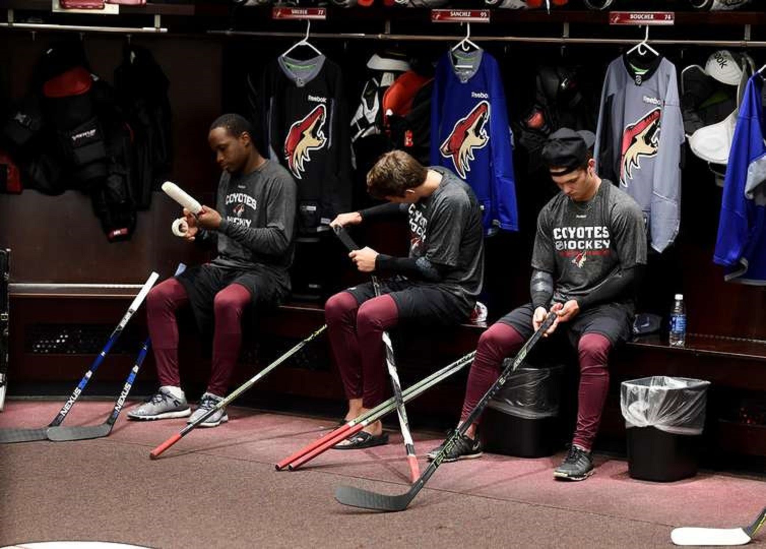 ARIZONA COYOTES Cameron Crotty #95 gray RBK practice jersey NOB 2017 ...