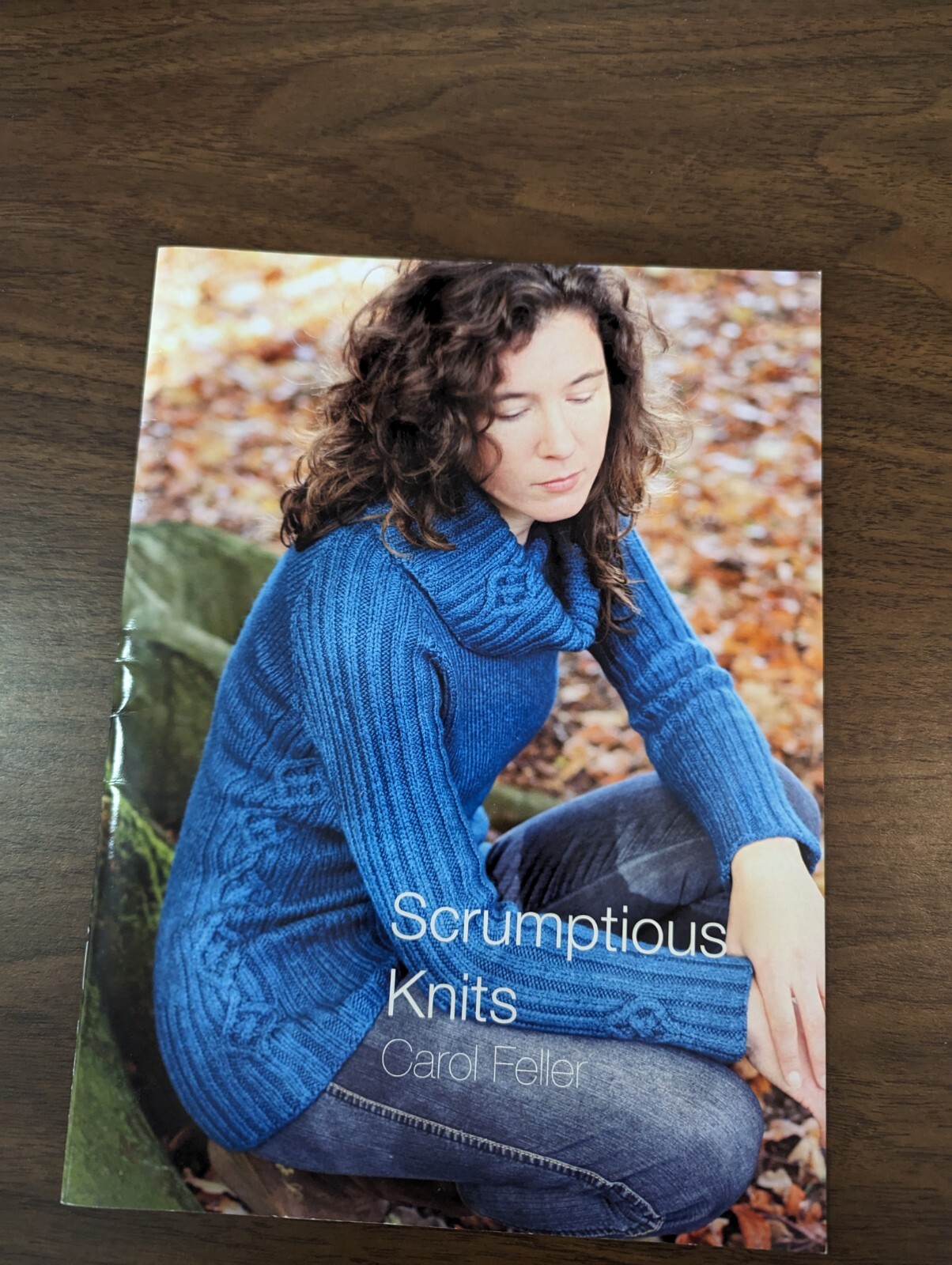 Scrumptious Knits By Carol Feller | eBay