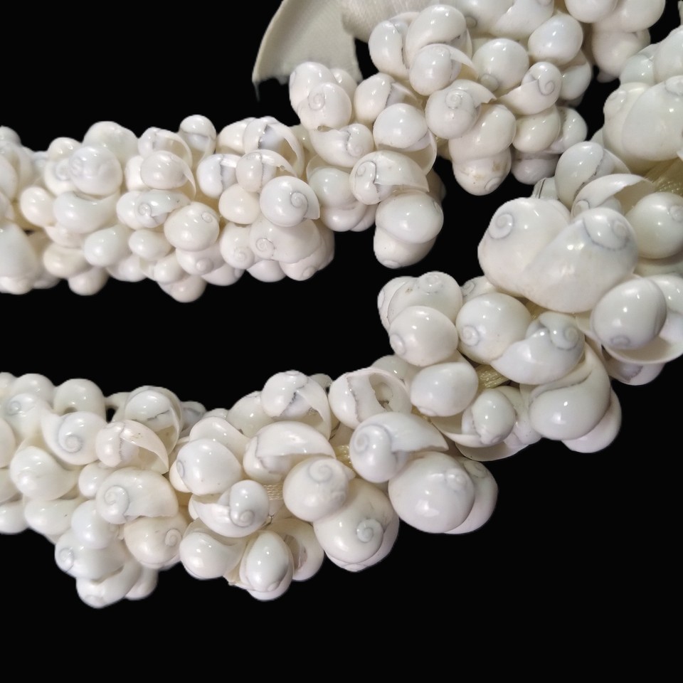 Hawaiian Mongo Shell Lei & Ivory Kukui Nut Ending with Ivory Ribbon Tie ...