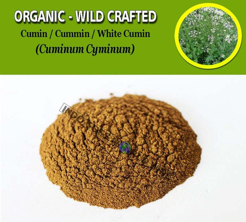POWDER Cumin White Cumin Cuminum Cyminum Organic WildCrafted Fresh ...