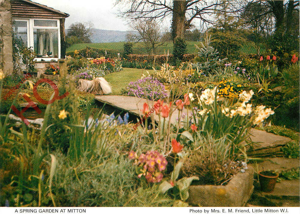 Picture Postcard~ Mitton, a Spring Garden [Women's Institute] | eBay