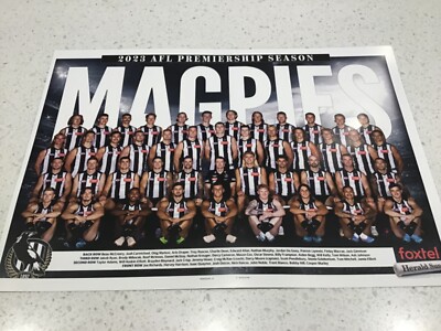 2023 Collingwood magpies AFL football team poster, FREE POST 1 | eBay ...