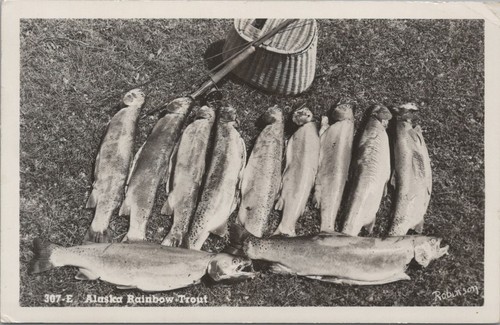 RPPC Postcard Fish Alaska Rainbow Trout | eBay