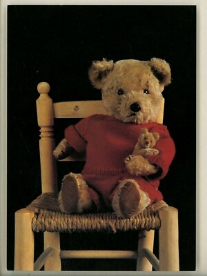 Teddy Bear chrome postcard Caroline Irwin photographed TPS5 Rupert bear ...
