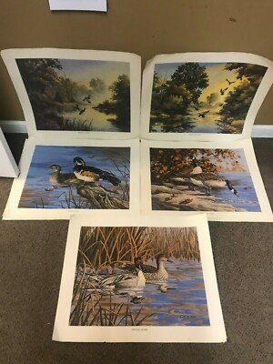 Duck Prints Raymond Popp 24" x 20" heavy textured paper, a PRINT, no ...
