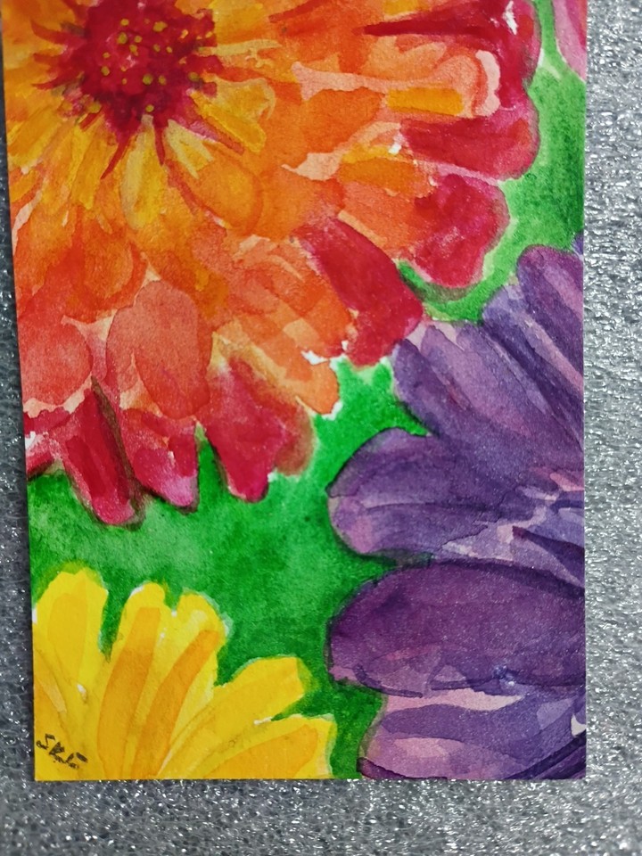 ACEO Original Colorful Zinnia Flowers Watercolor Painting Sharon Foster ...
