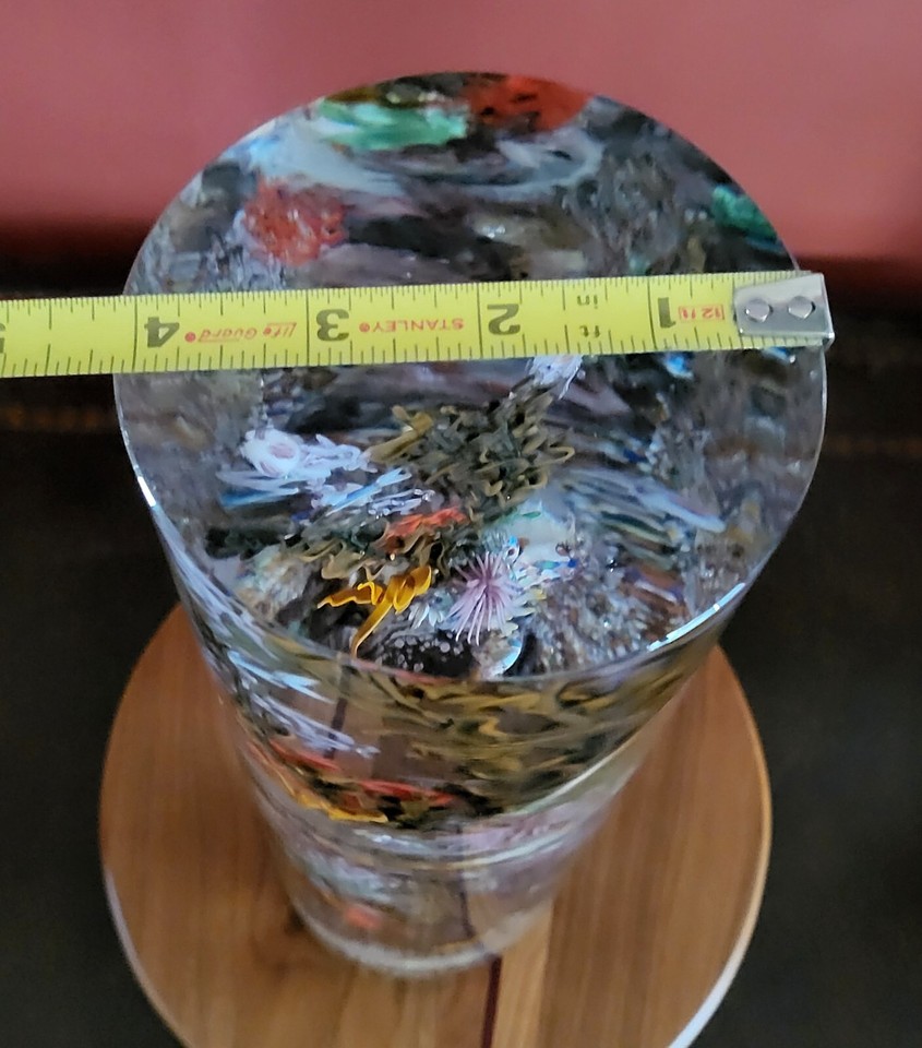 Randall Grubb Glass Magnum Undersea Column Octopus starfish stingray ...