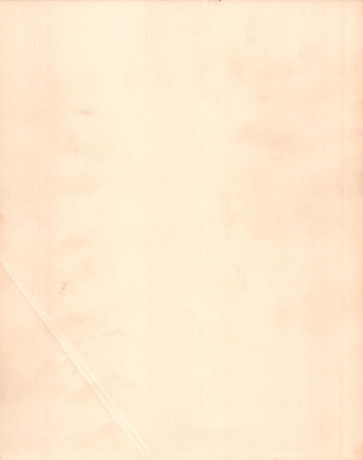 HOLLYWOOD BEAUTY JAYNE MANSFIELD CHEESECAKE STUNNING PORTRAIT 1970s ...