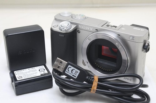 Sony Alpha A6000 ILCE-6000 Digital Camera silver w lens 25577GR ...