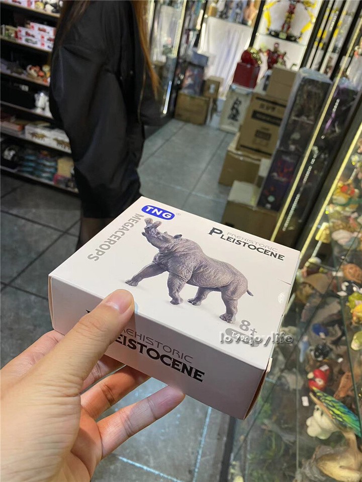 TNG Brontotherium Model Animal Prehistoric Cretaceous Figure Decor Kids ...