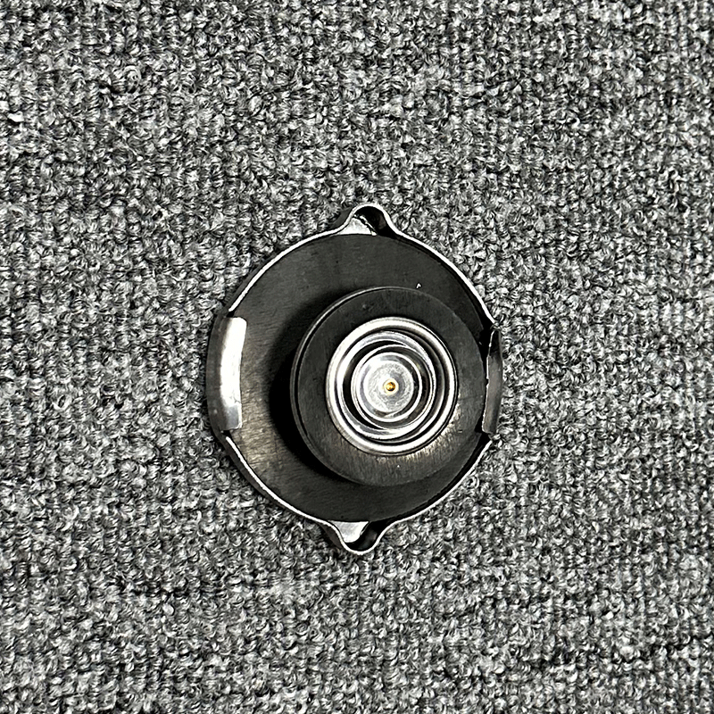 NEW FOR Gates 31523 Standard Radiator Cap 10036879 0005010015 ...