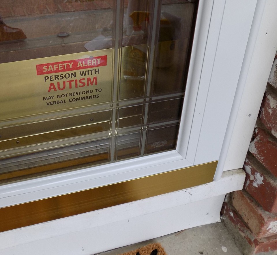 🧩 Autism Safety Alert Window 2 Clings and 2 Decals for Car and Home (4 ...
