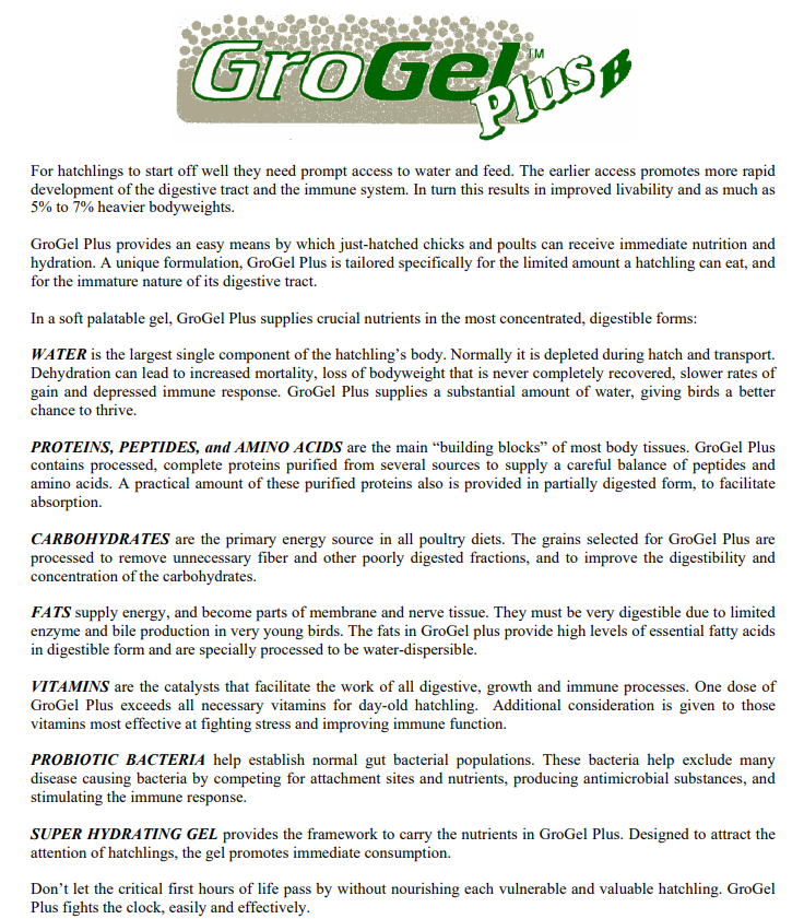 10 Packs of 100 Doses GroGel Plus Baby Chick Supplements and Nutrition ...