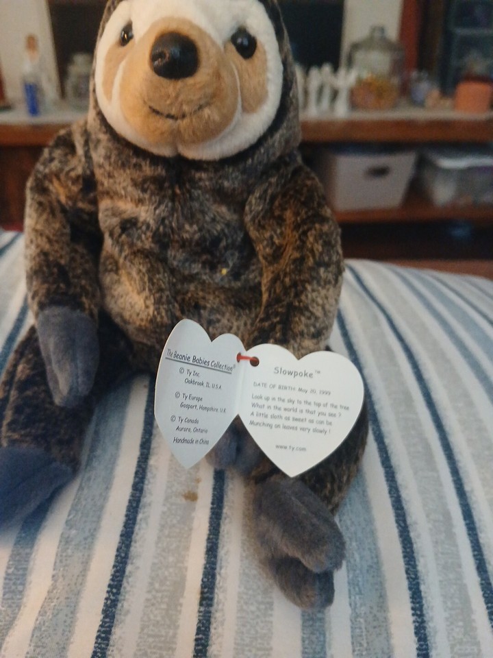 Ty Beanies Slowpoke The Sloth Rare and RETIRED WITH EROORS | eBay