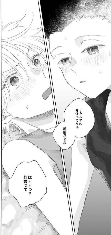 Hunter x Hunter BL Doujinshi ( Gon x Killua ) drops. enfant terrible | eBay