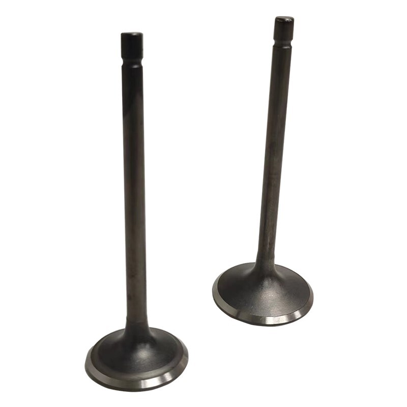 250cc Intake Exhaust Valves for Lifan Zongshen CG250 250cc Go Cart Dirt ...
