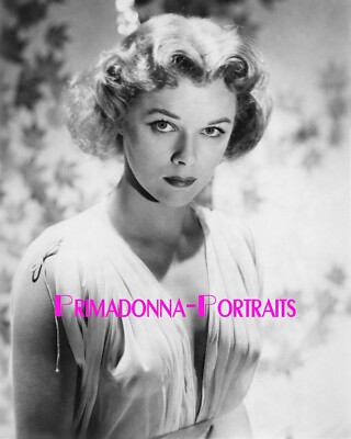 SALLY FORREST 8X10 Lab Photo Sexy Youthful Mysterious Eyes Actress ...