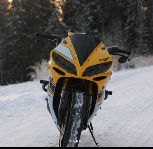 Yamaha YZF R1 2004-2006 crash cage engine guard crash bars stunt race ...