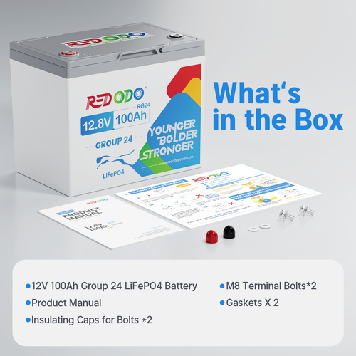 Redodo 12V 100Ah Group 24 LiFePO4 Lithium Battery 100A BMS Grade A ...