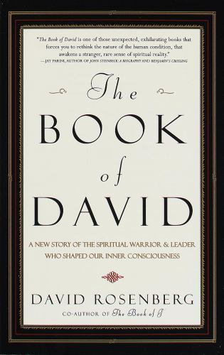 The Book of David: A New Story of the Spiritual Warrior and Leader Who ...