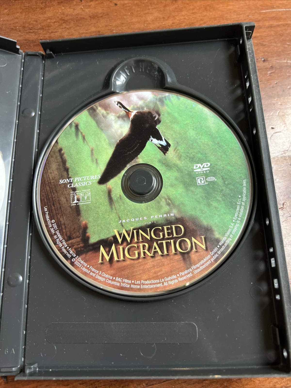 Winged Migration (DVD, 2002, Special Edition Documentary) 43396002418 ...