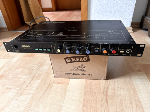 Yamaha R1000 Digital Reverberation mit Parametric Eq Reverb vintage ...