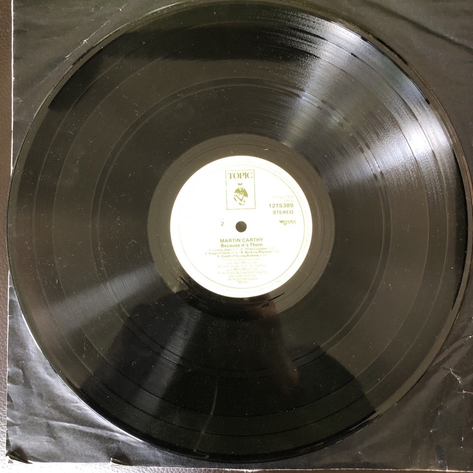 MARTIN CARTHY ~ Because It's There ~ 1979 UK Topic label 11-trk vinyl ...