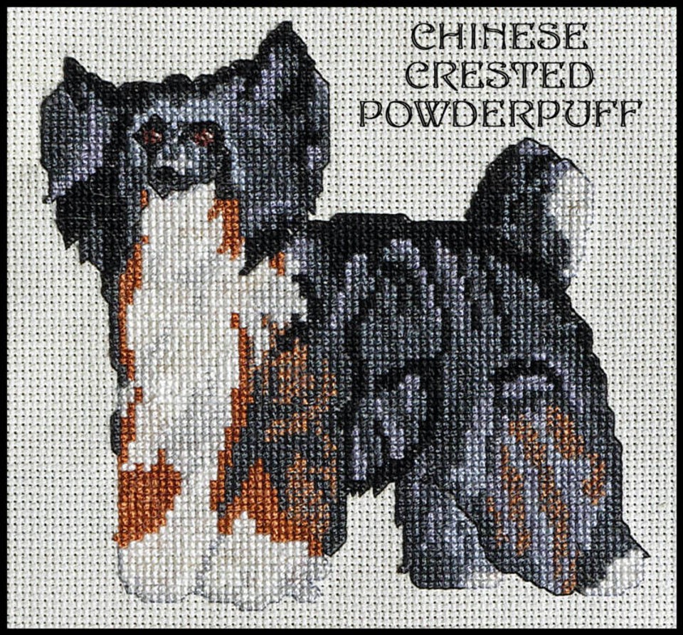 COMPANION DOG BREEDS COUNTED CROSS STITCH PATTERNS | eBay