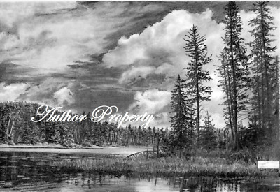 LAKE WILD NATURE LANDSCAPE Original Graphite Pencil Drawing 9.5" x 13 ...
